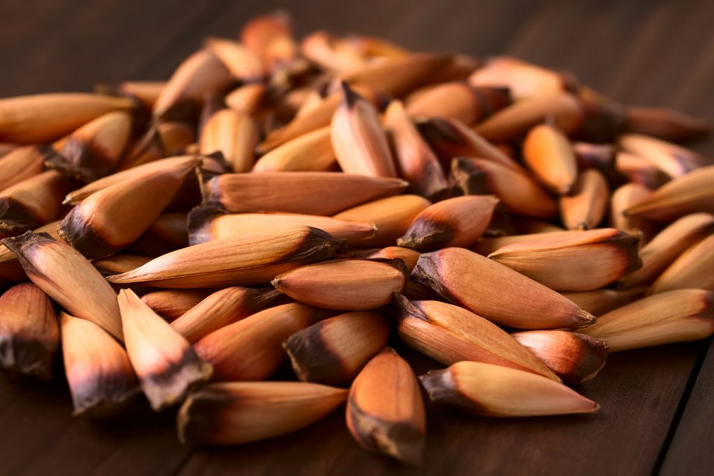 Piñones kg – DLF Frutillar